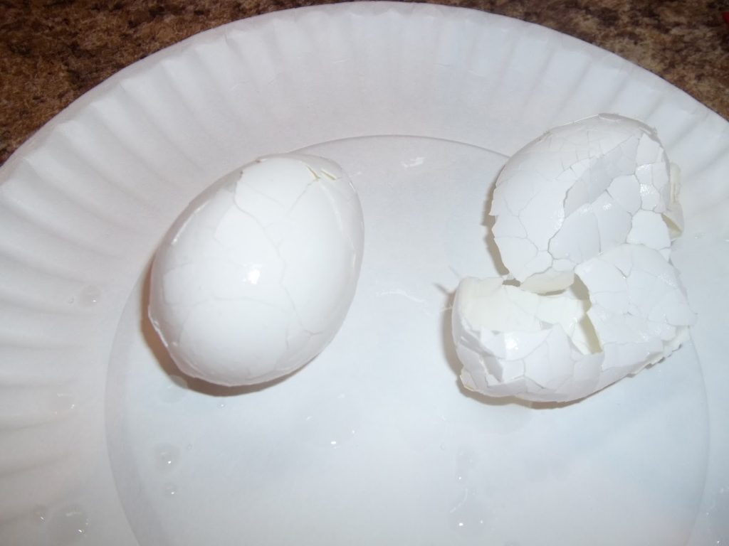 Revamp Your Egg-celent Egg Salad Recipe - Mrs Bishop